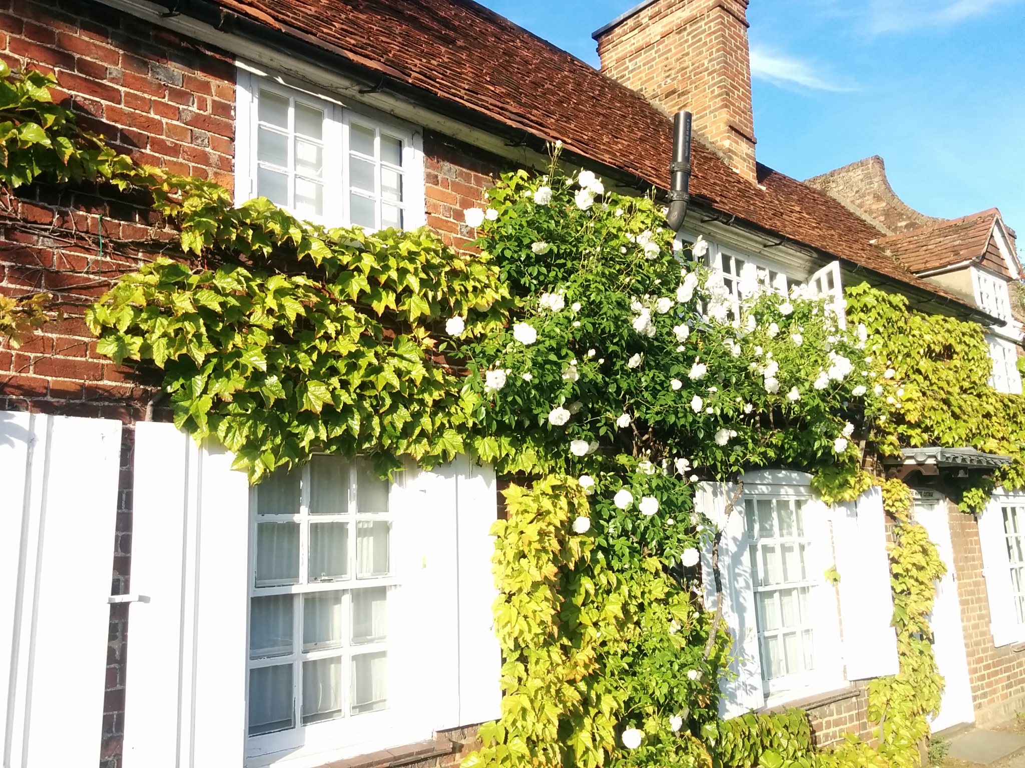 「LOVELY」な介護をイギリス・Chiltern Houseで学ぶ│健達ねっと